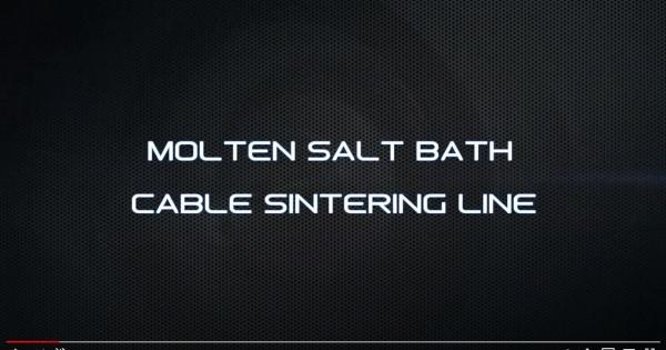 Molten salt bath cable sintering line