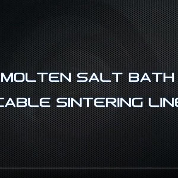 Molten salt bath cable sintering line